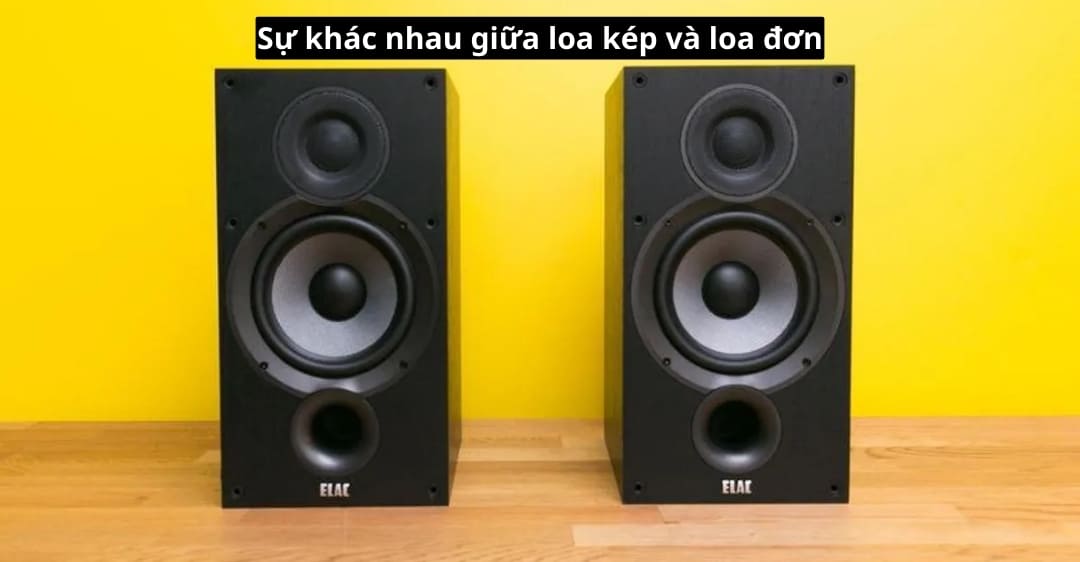 Sự khác nhau giữa loa kép và loa đơn là gì? Nên chọn loa nào?